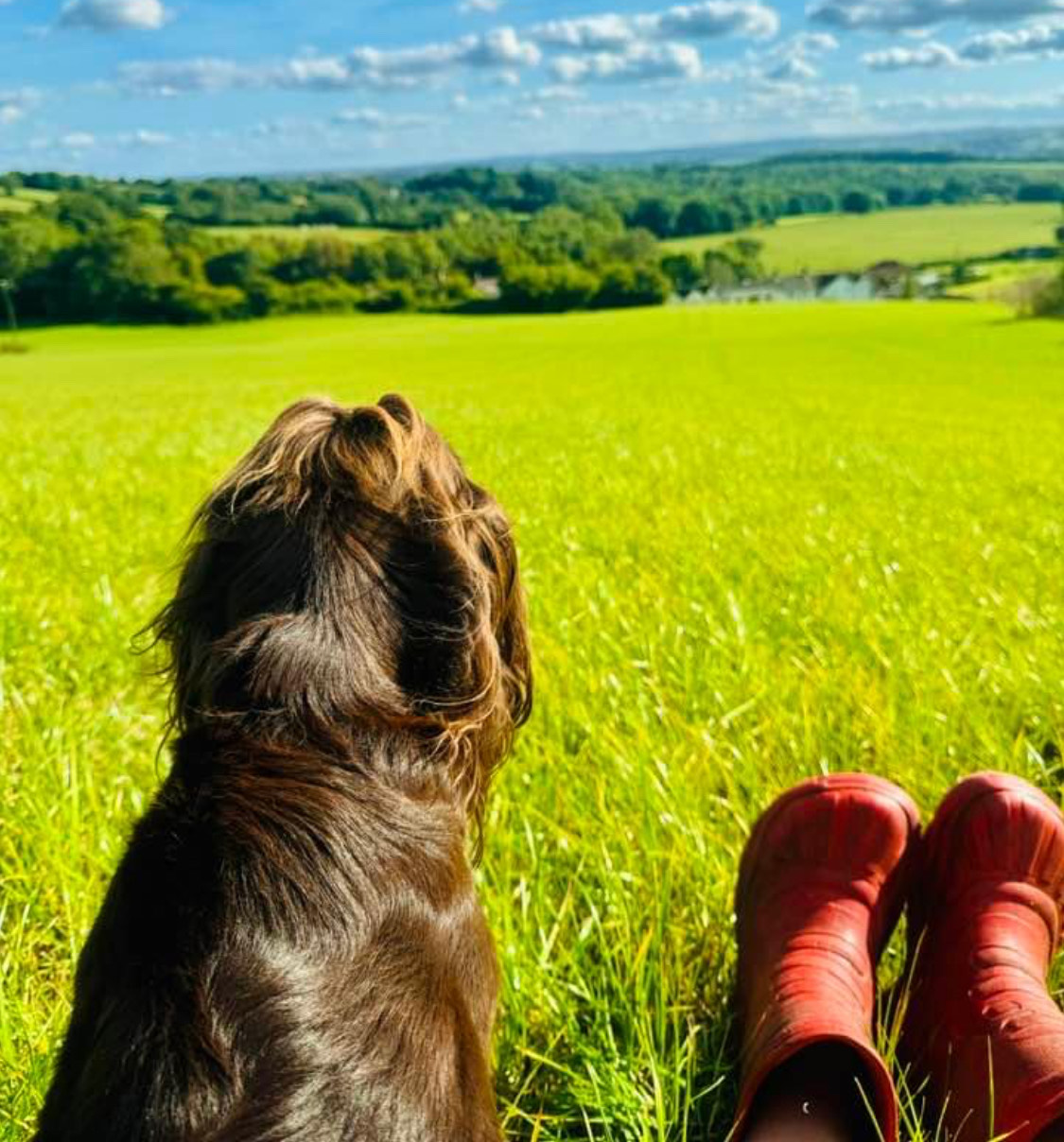 The Power of Prioritising Self…. | Melanie Cook Hypnotherapy